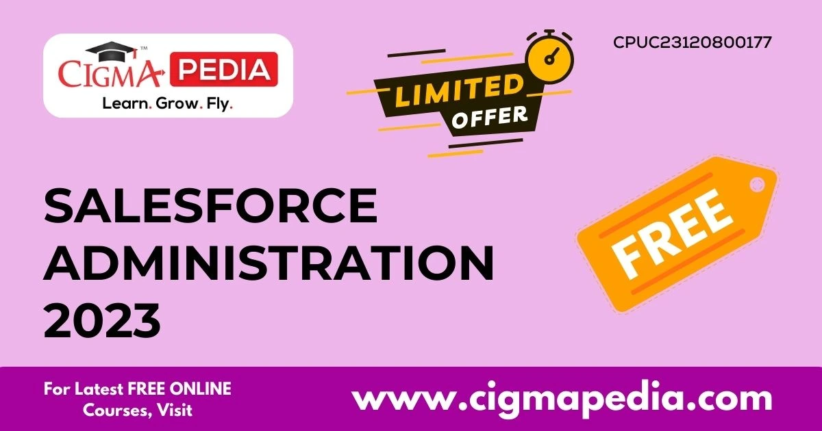 Salesforce Administration 2023 Free Udemy Course Cigma Pedia
