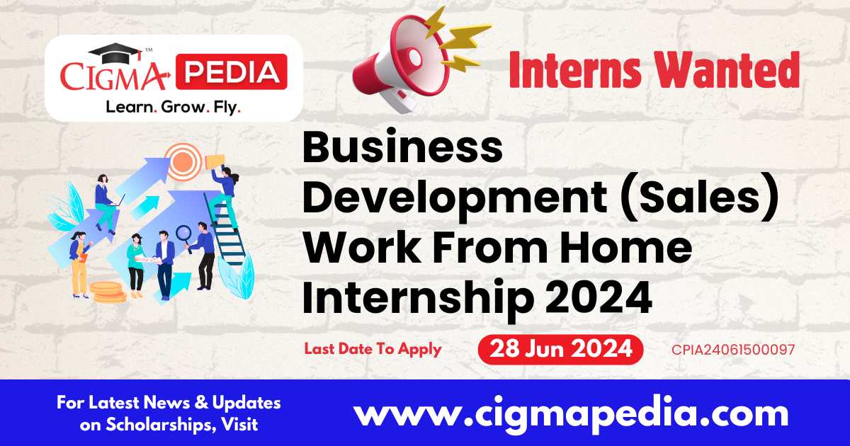 Business Development (Sales) Work From Home Internship 2024 : How to ...