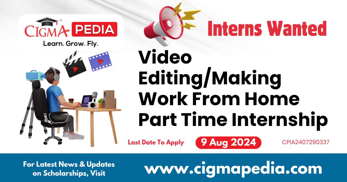 Video Editing/Making Work From Home Part Time Internship by Shree ...
