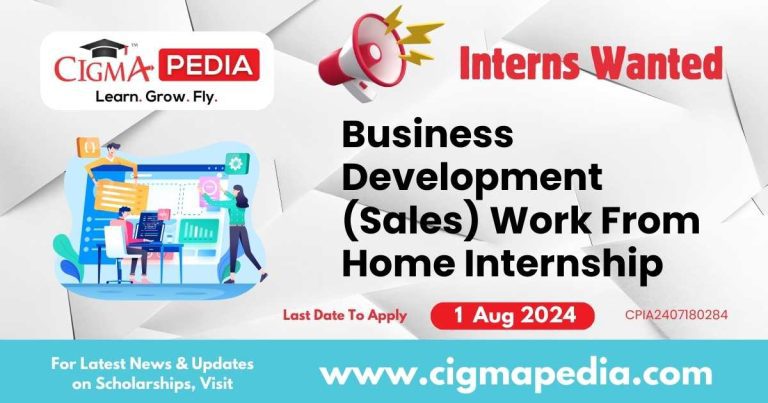 Business Development (Sales) Work From Home Internship 2024 : How to ...
