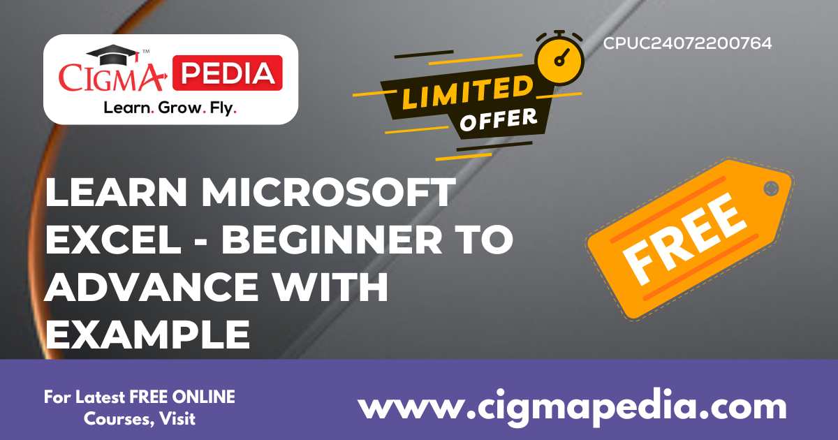 Learn Microsoft Excel - Beginner to Advance with Example (Free Udemy Course) - CIGMA Pedia