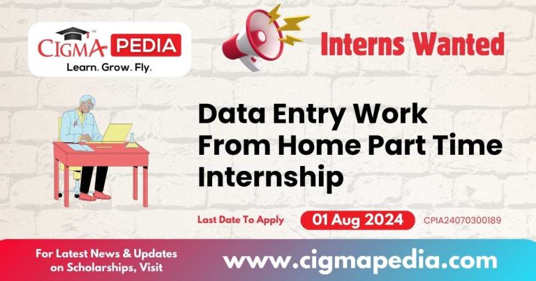 Data Entry Work From Home Part Time Internship by EXCELLENTSOUND ...