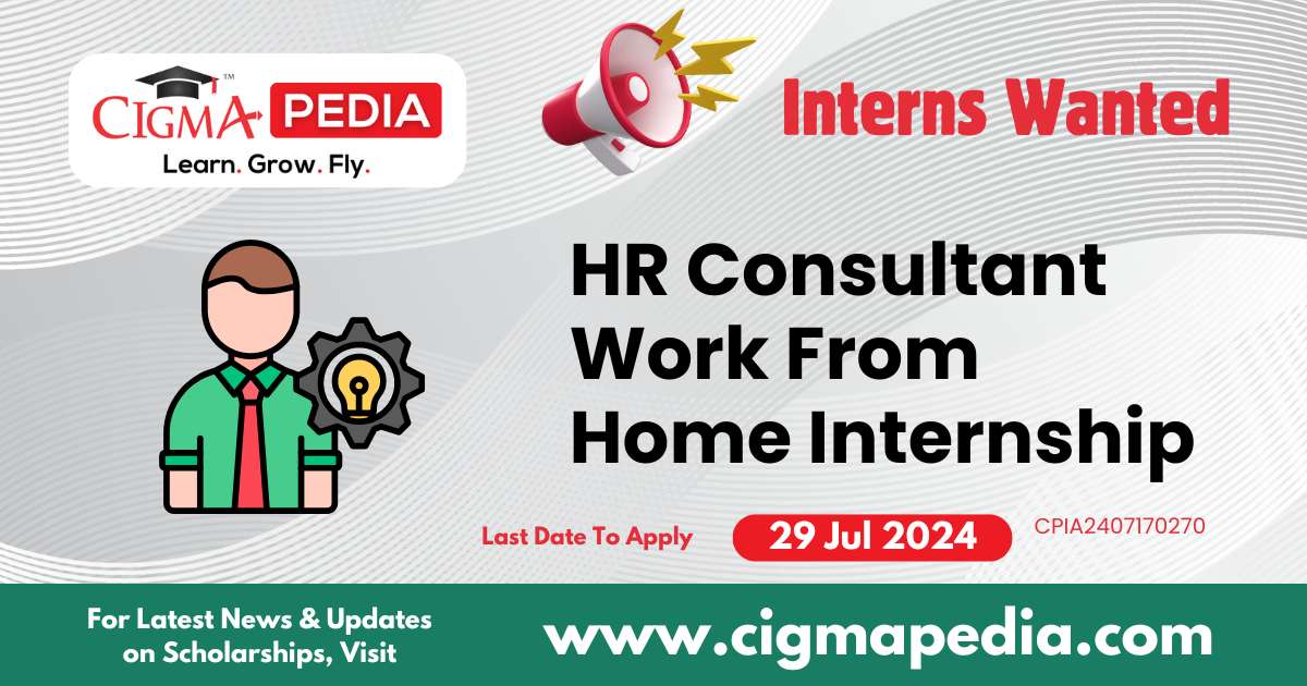 Etabs 2023 : From Zero to Hero - CIGMA Pedia