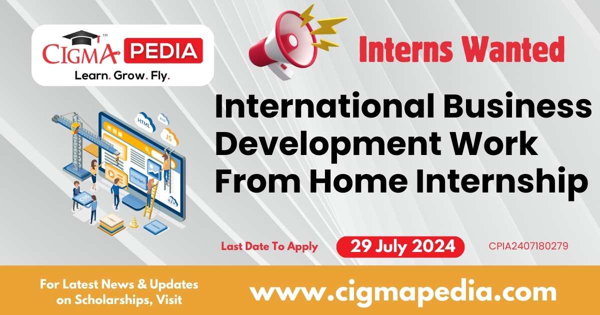 International Business Development Work From Home Internship by ...