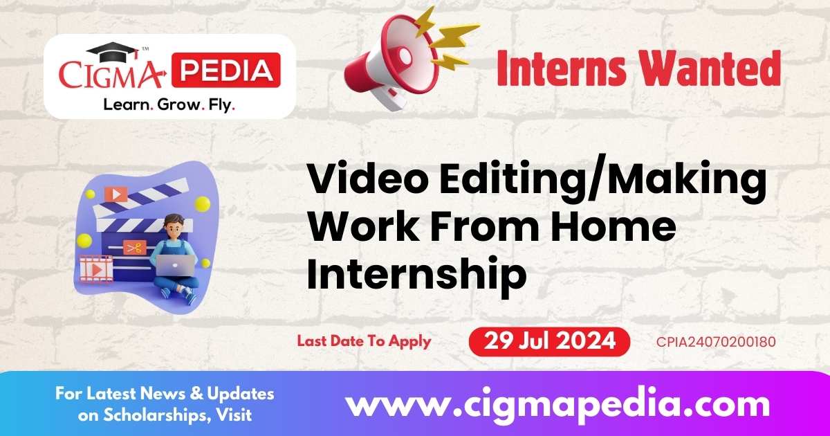Video Editing/Making Work From Home Internship by Lalit Bishnoi 2024 ...