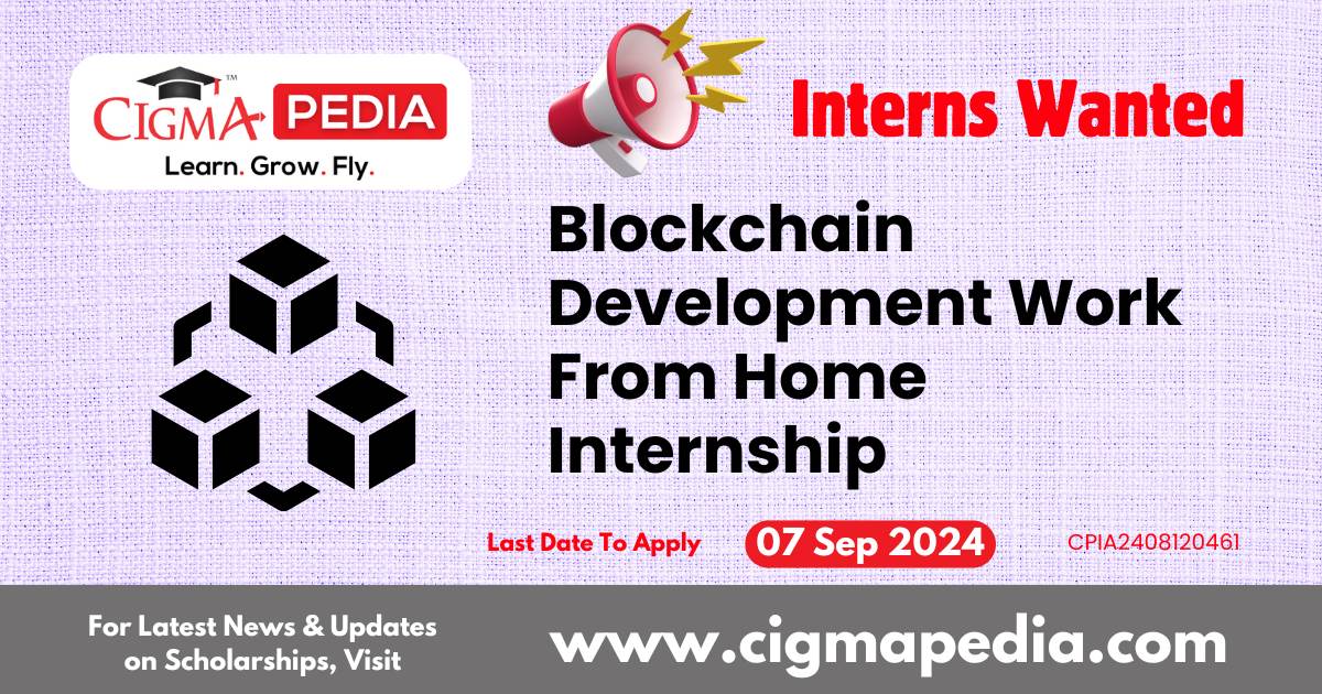 Blockchain Development Work From Home Internship by QuadB Tech 2024 : How to Apply for ...