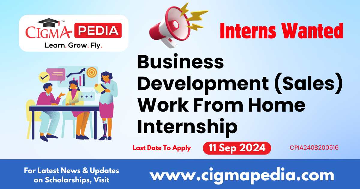Business Development (Sales) Work From Home Internship by Oblytech 2024 : How to Apply for ...