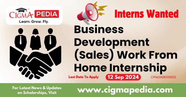 Business Development (Sales) Work From Home Internship by Sehyog ...