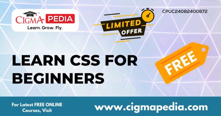 Learn CSS For Beginners (Free Udemy Course) - CIGMA Pedia