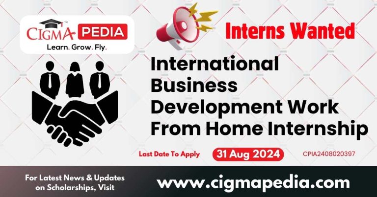 International Business Development Work From Home Internship by ...