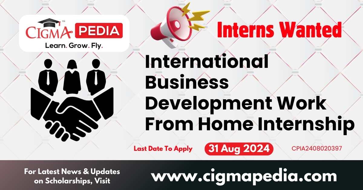 International Business Development Work From Home Internship by ...