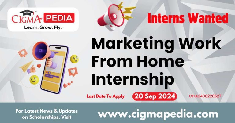 Marketing Work From Home Internship by Coding Junior 2024 : How to ...