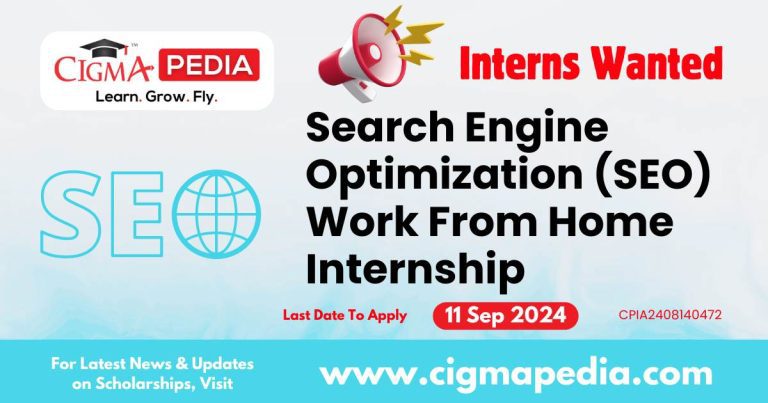 Search Engine Optimization (SEO) Work From Home Internship by Aero Link 2024 : How to Apply for ...