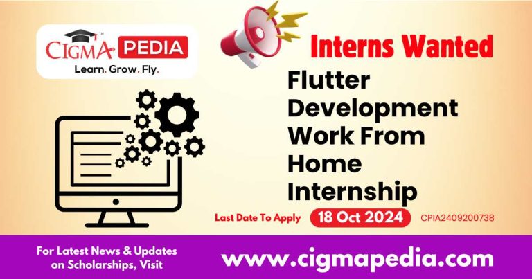 Flutter Development Work From Home Internship by Velozity Global ...