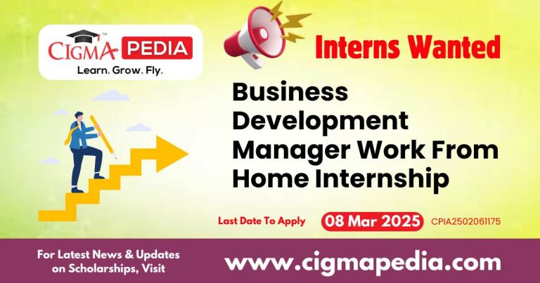 Business Development Manager Work From Home Internship By Dromkart ...