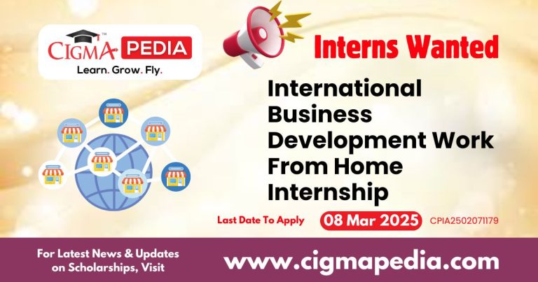 International Business Development Work From Home Internship By ...