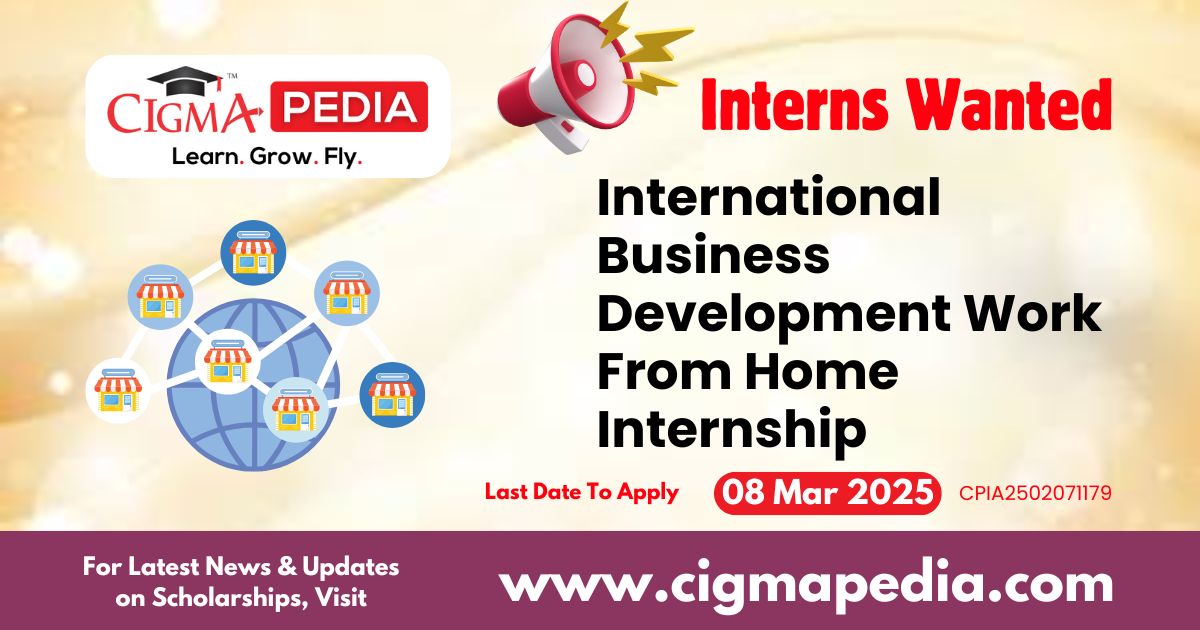International Business Development Work From Home Internship By ...