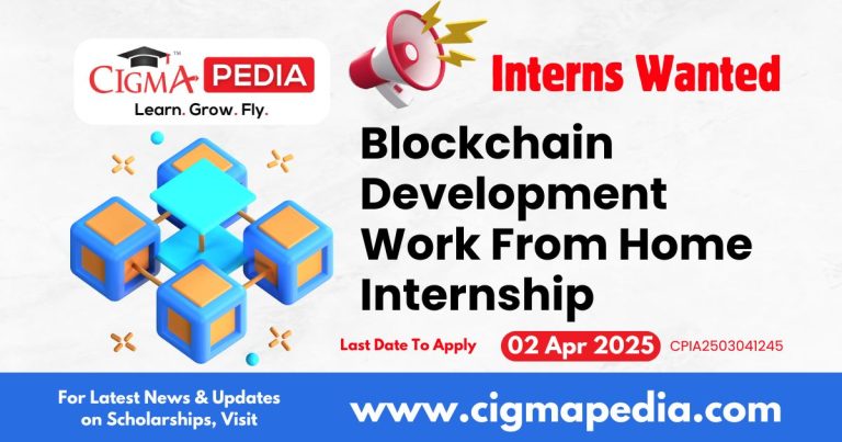 Blockchain Development Work From Home Internship by Buddha Education Association Incorporation ...