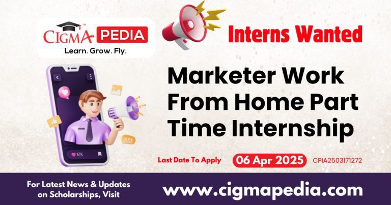Marketer Work From Home Part Time Internship by The Political ...