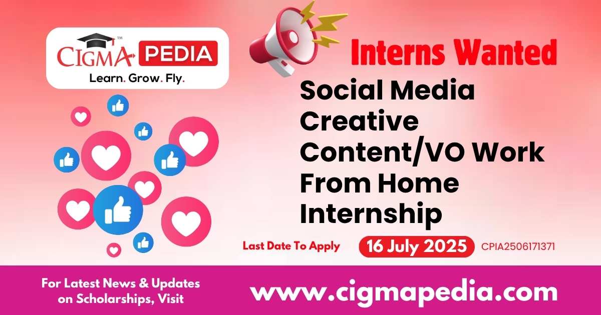 Social Media Creative Content/VO Work From Home Internship By CSTE ...