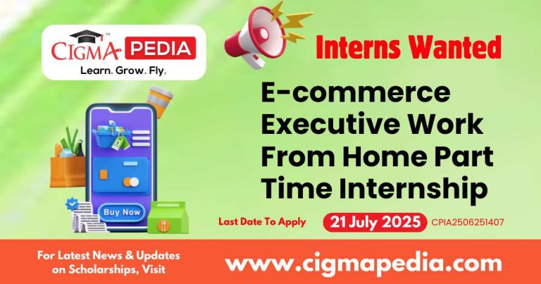 E-commerce Executive Work From Home Part Time Internship By Growth Factory: How to Apply for ...
