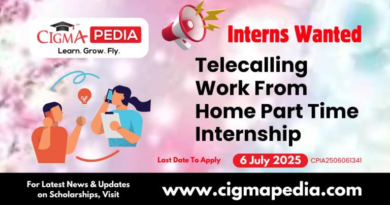 Internship Cigma Pedia