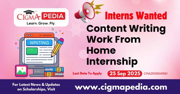 Content Writing Work From Home Internship By RuDe Labs Private Limited: How to Apply for ...