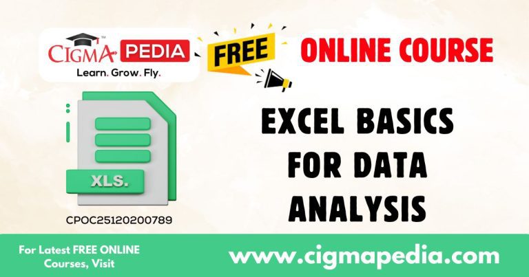 Excel Basics for Data Analysis (Free Online Course) - CIGMA Pedia